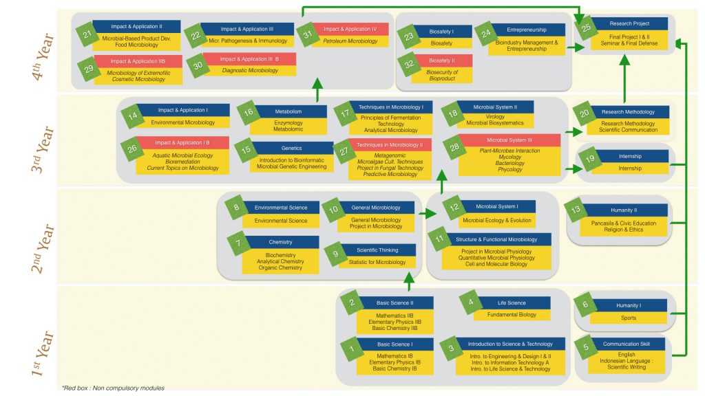 Courses Roadmap – Program Studi Sarjana Mikrobiologi SITH-ITB